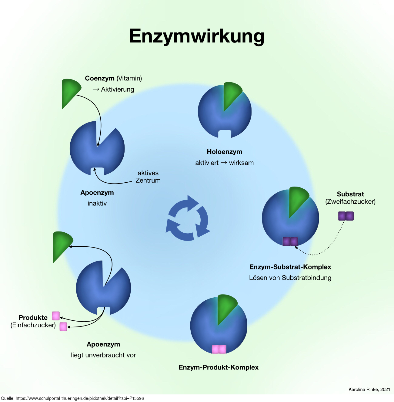 Detailansicht - Thüringer Schulportal